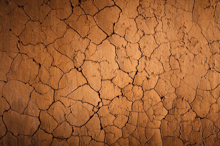 Cracked Clay Soil Free Texture